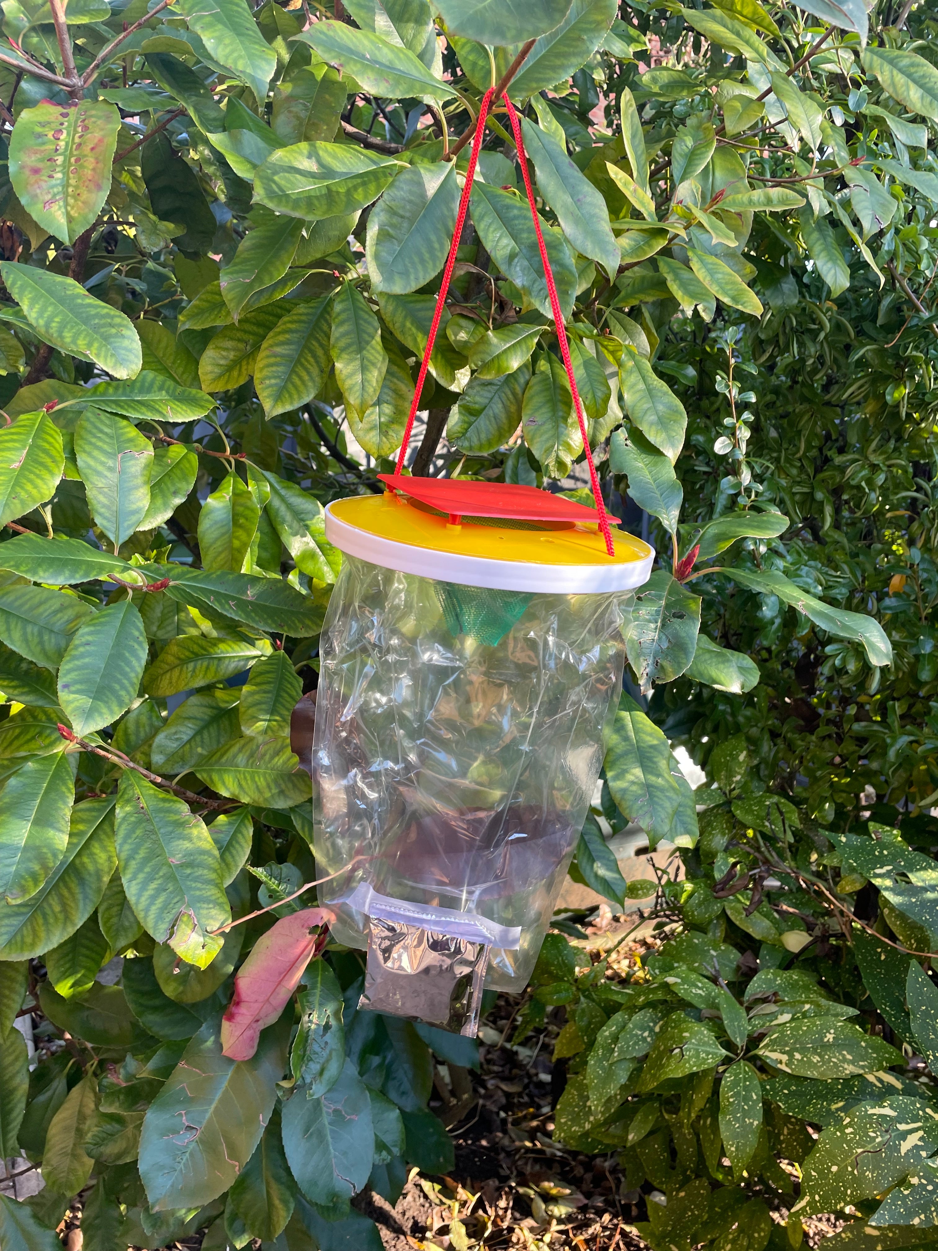 Fly trap – UK Amenity Ltd