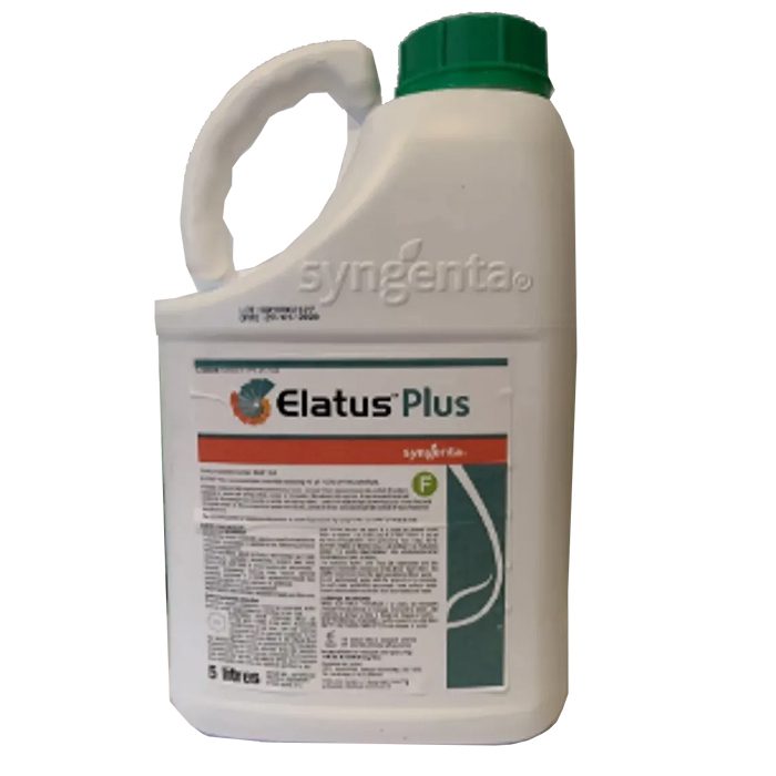 Elatus Plus 5L - Disease Control Benzovindiflupyr – UK Amenity Ltd